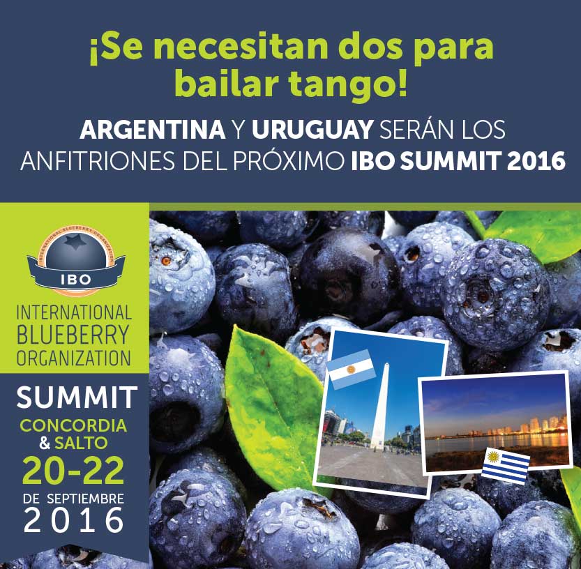 IBO Summit 2016 ‘Se necesitan dos para bailar tango’ | Blueberries S.A.